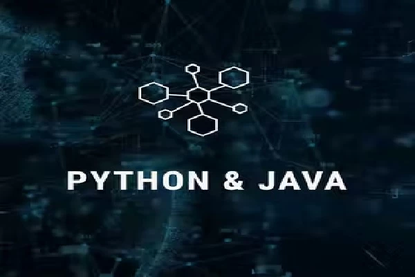 JAVA AND PYTHON | Online Live Learning