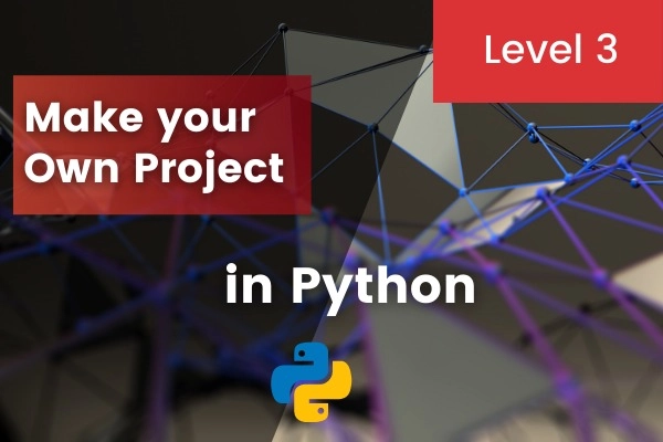 Customised Python Coding (Level 3) | Online Live Learning
